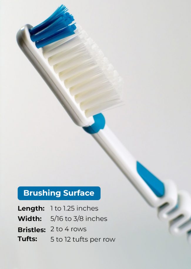 The Ultimate Guide to Toothbrushes: Types, Benefits, and Tips - Dentalkart