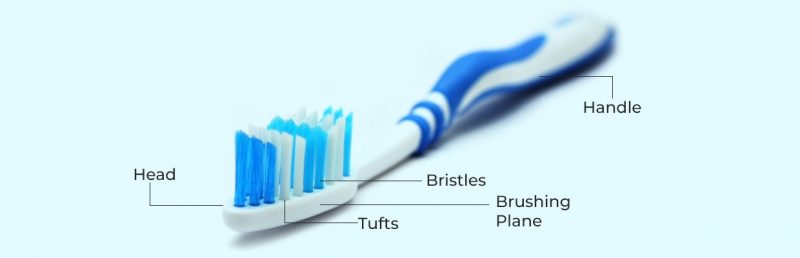 The Ultimate Guide to Toothbrushes: Types, Benefits, and Tips - Dentalkart