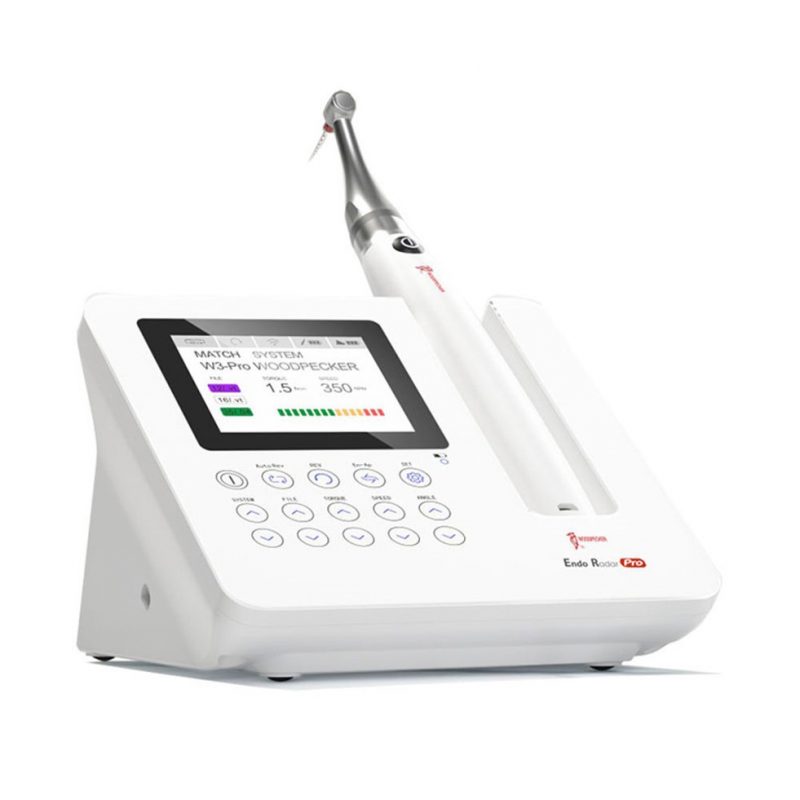 Top 10 EndoMotors to Choose in 2025