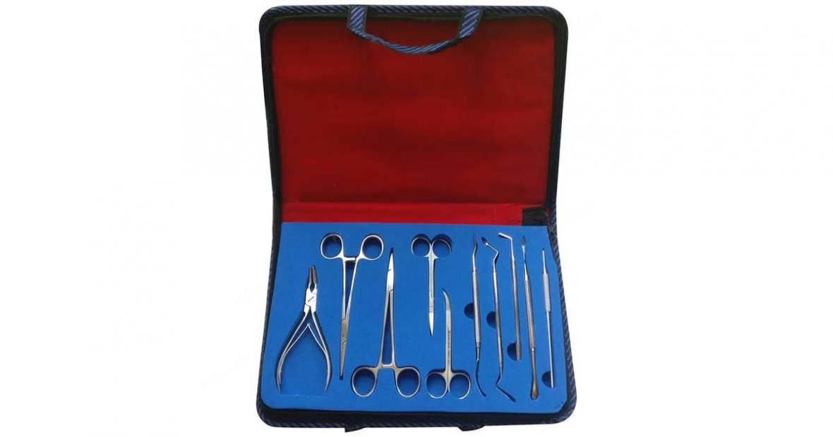 A Comprehensive Guide on Dental Tools - Dentalkart