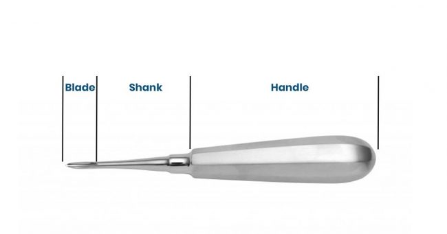 Dental Luxator vs Elevator: Which Instrument is Better? - Dentalkart