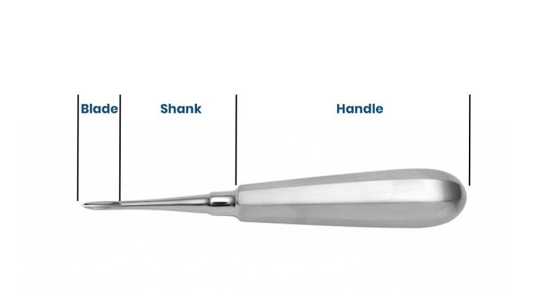 Dental Luxator vs Elevator: Which Instrument is Better? - Dentalkart