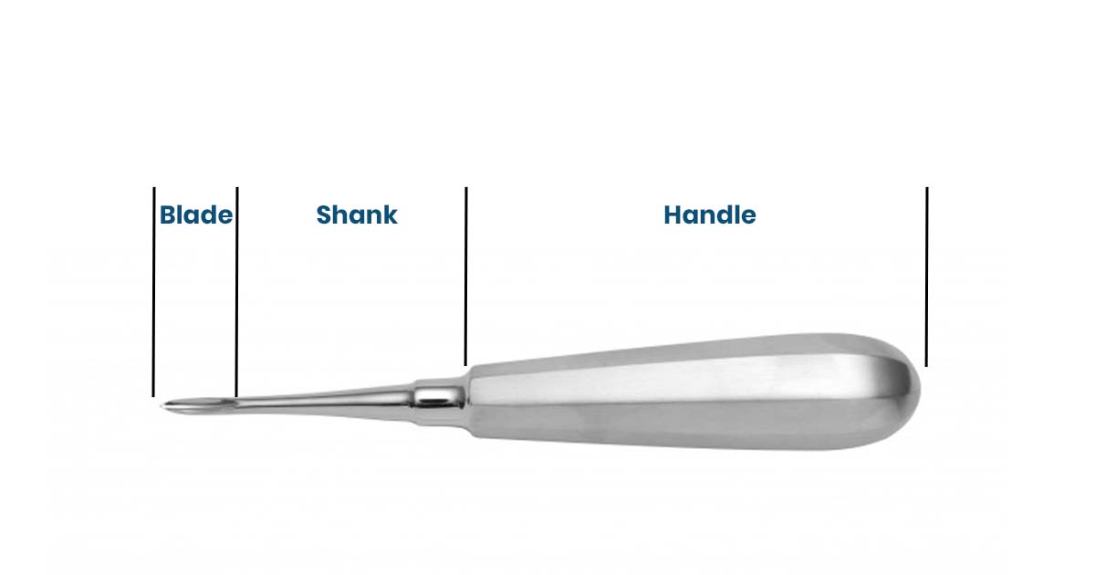 Dental Luxator vs Elevator: Which Instrument is Better? - Dentalkart