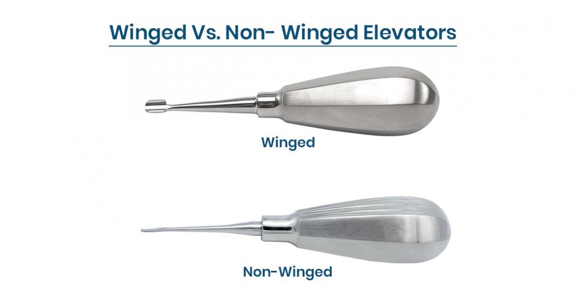 Dental Luxator vs Elevator: Which Instrument is Better? - Dentalkart