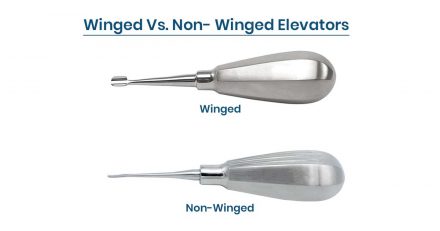 Dental Luxator vs Elevator: Which Instrument is Better? - Dentalkart