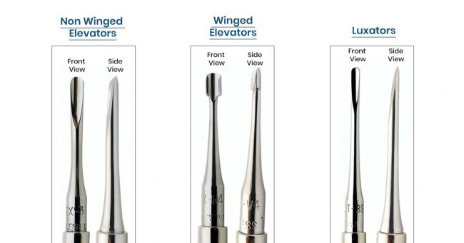 Dental Luxator vs Elevator: Which Instrument is Better? - Dentalkart
