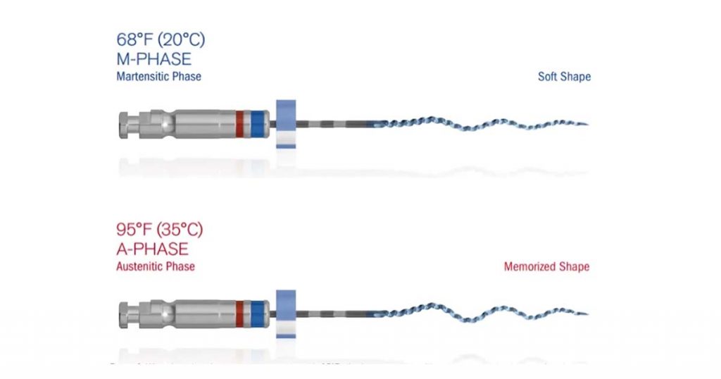 Components of an endodontic files | Key Parts & Their Functions