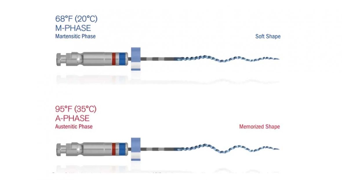 Components of an endodontic files | Key Parts & Their Functions