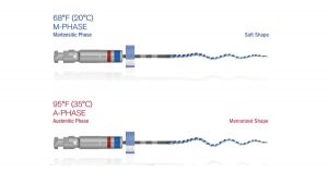 Components of an endodontic files | Key Parts & Their Functions