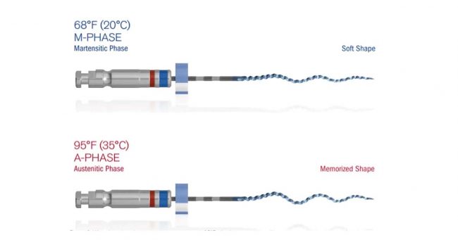 Components of an endodontic files | Key Parts & Their Functions