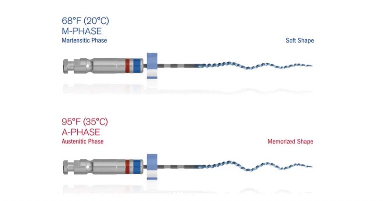 Components of an endodontic files | Key Parts & Their Functions