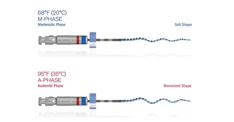 Components of an endodontic files | Key Parts & Their Functions