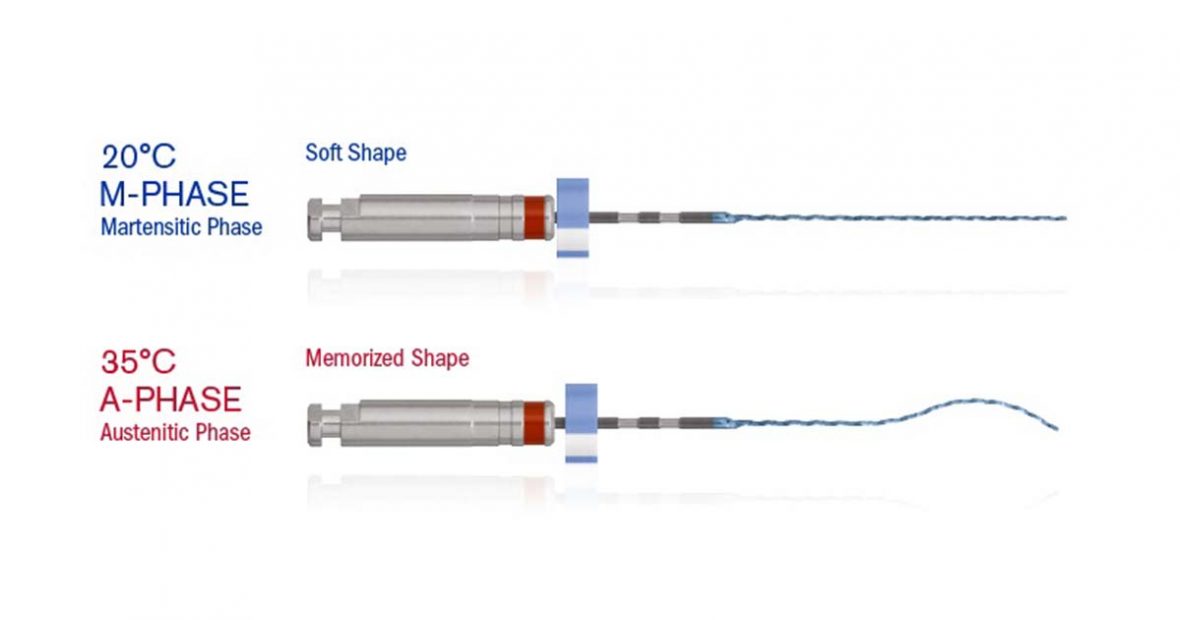 Components of an endodontic files | Key Parts & Their Functions