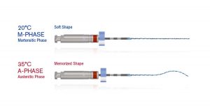 Components of an endodontic files | Key Parts & Their Functions