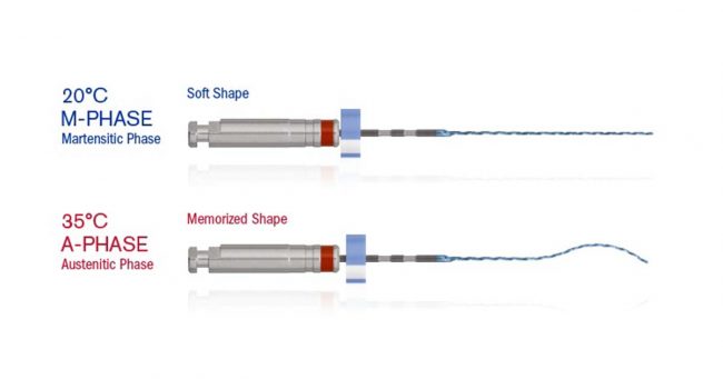 Components of an endodontic files | Key Parts & Their Functions