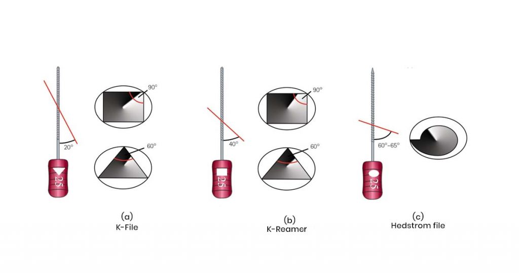 Components of an endodontic files | Key Parts & Their Functions
