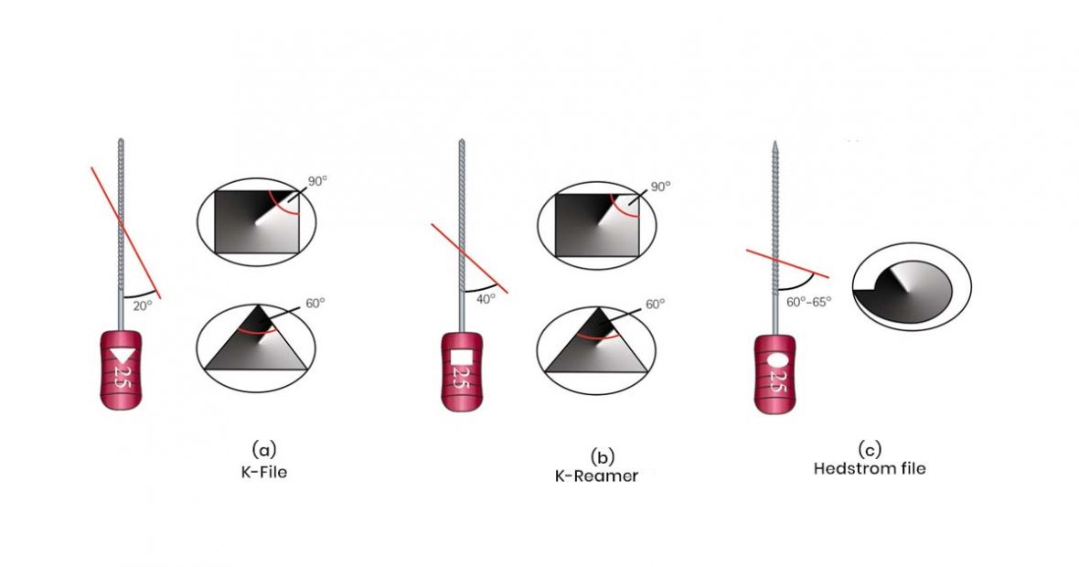 Components of an endodontic files | Key Parts & Their Functions