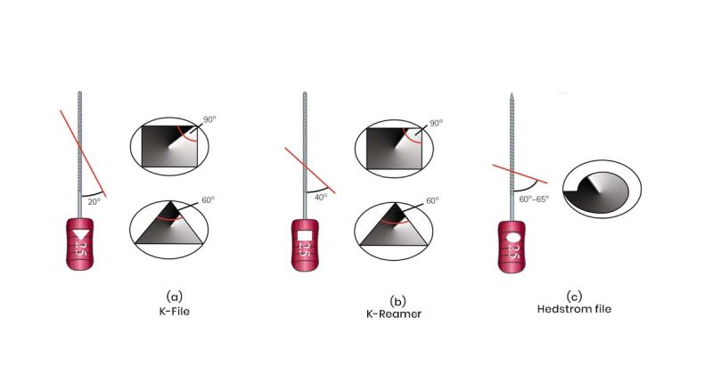 Components of an endodontic files | Key Parts & Their Functions