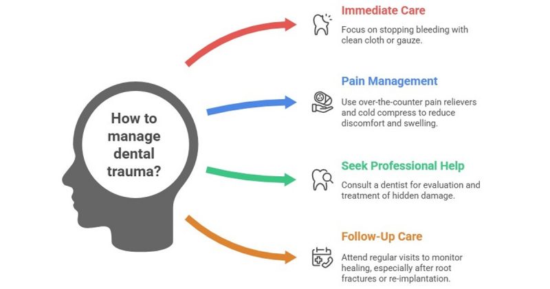 Dental Trauma: Clinical Guide to Ellis Classification & Management